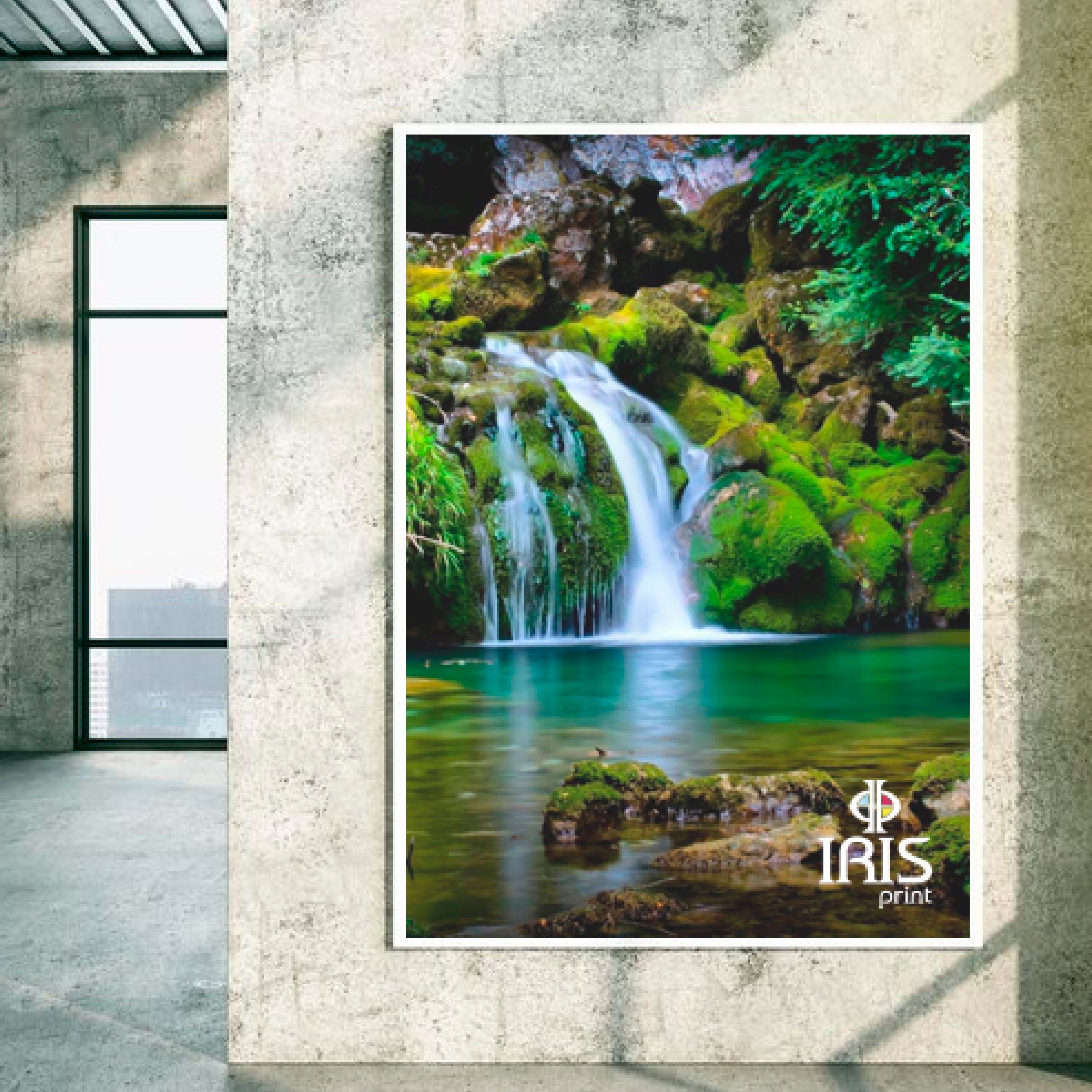 Productos – Iris Print
